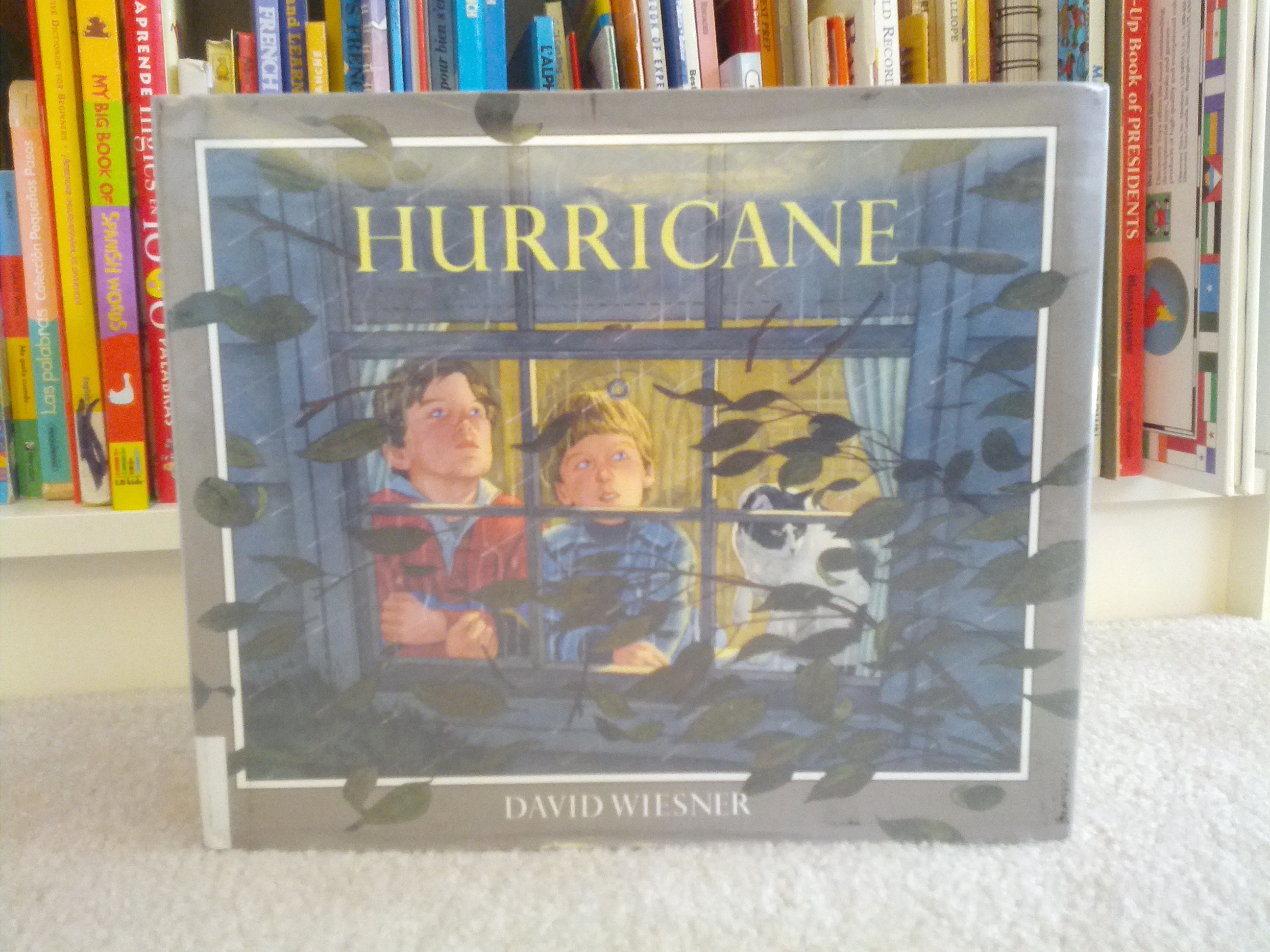 Hurricane by David Wiesner | The Picture Book Review